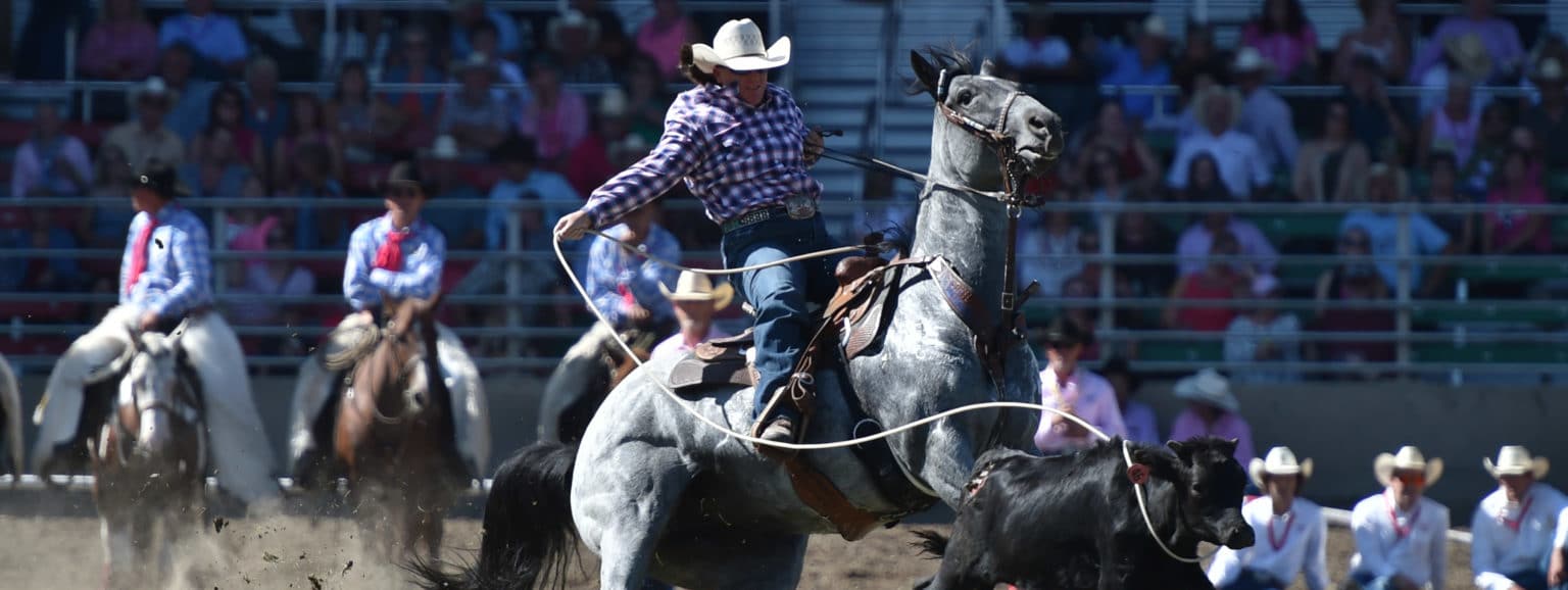 Breakaway 101: Rope Sizes and Terminology