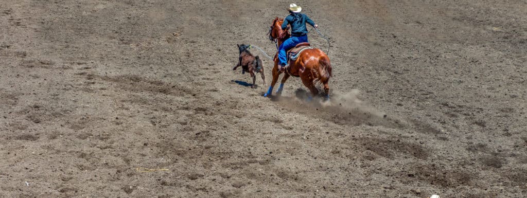 Up Next? Ruby Buckle Breakaway.