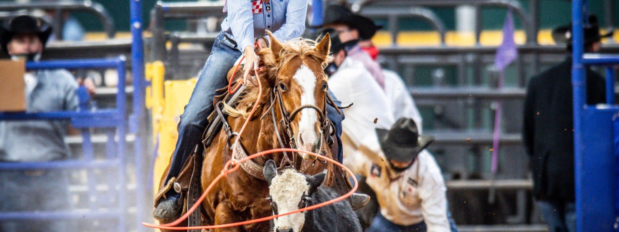 Martha Angelone with Taylor Schmidt, Author at BreakawayRopingJournal