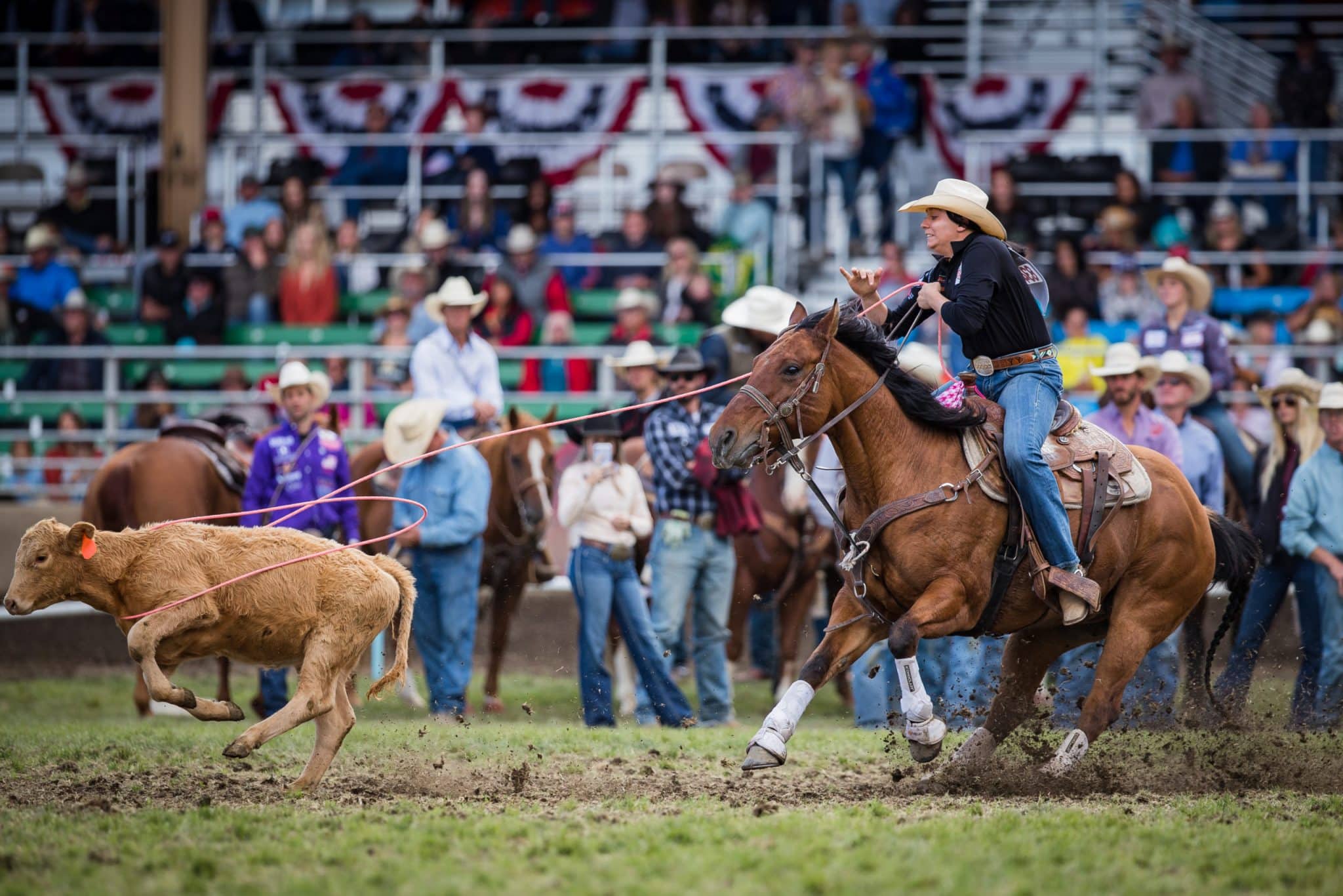 Gilbert Soars to No. 1 with Inaugural Pendleton Round-Up Breakaway ...