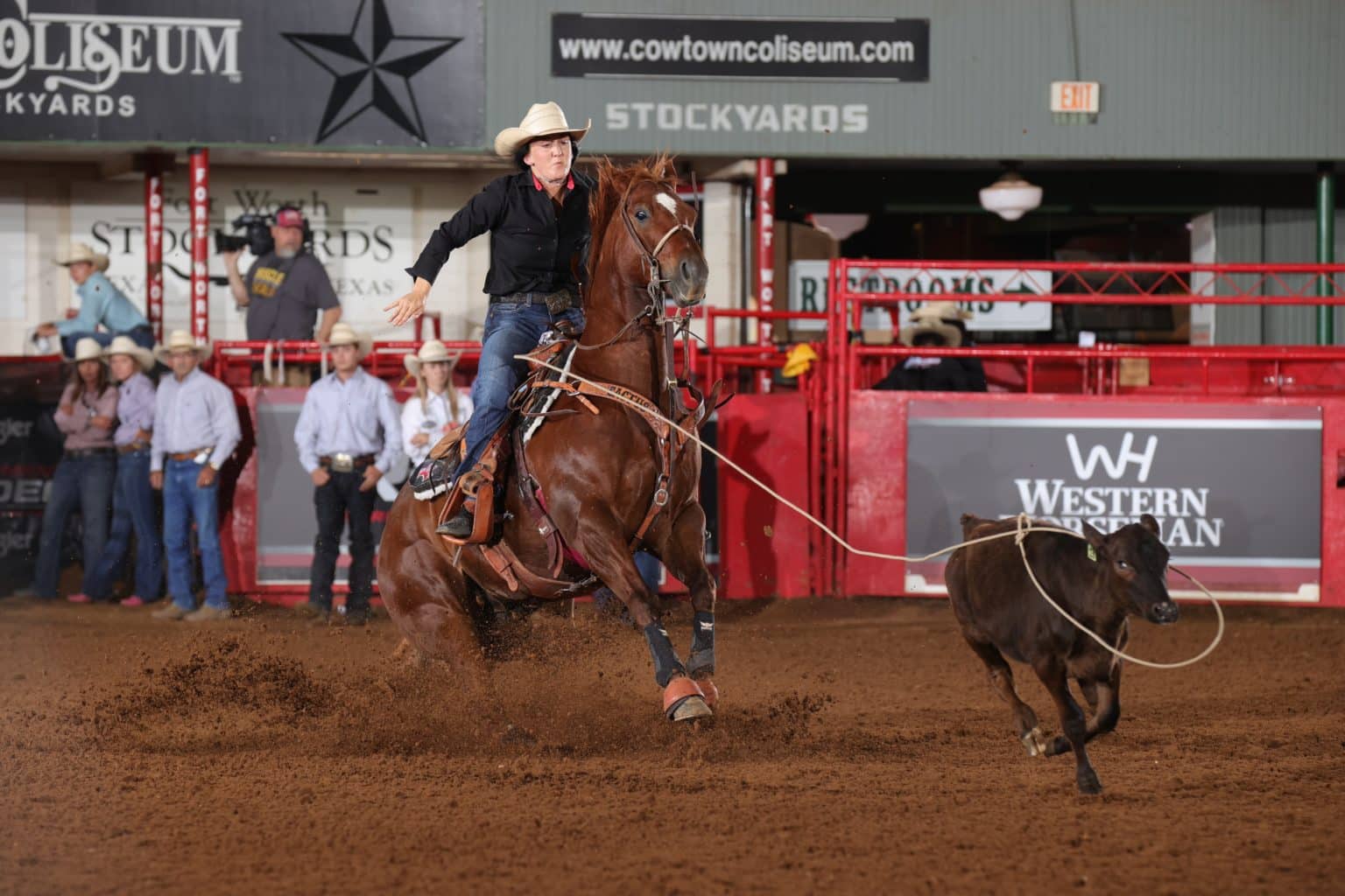 Walkin the Dog Breakaway Horse Liz Hirdes