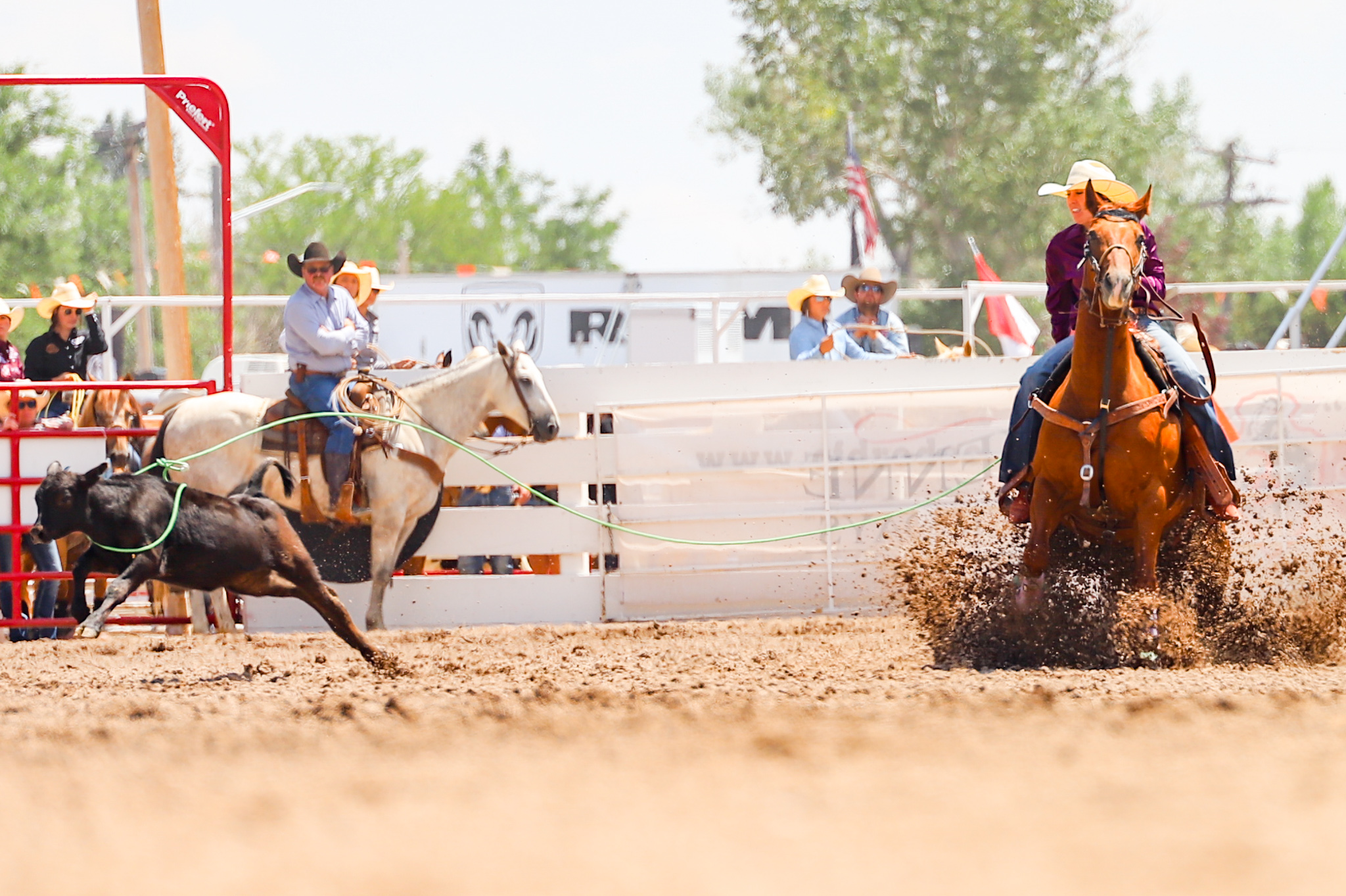 Results from Cheyenne Frontier Days' *Equal-Money* Breakaway Roping
