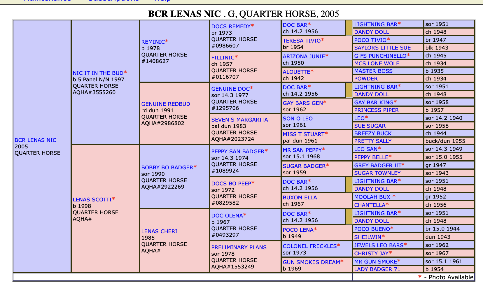 NFBR Qualifying Breakaway Ropers and Horses—2022