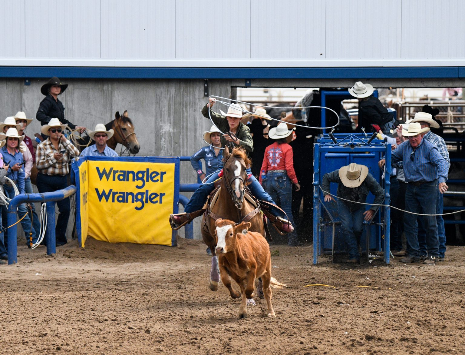 Who is Madalyn Richards?