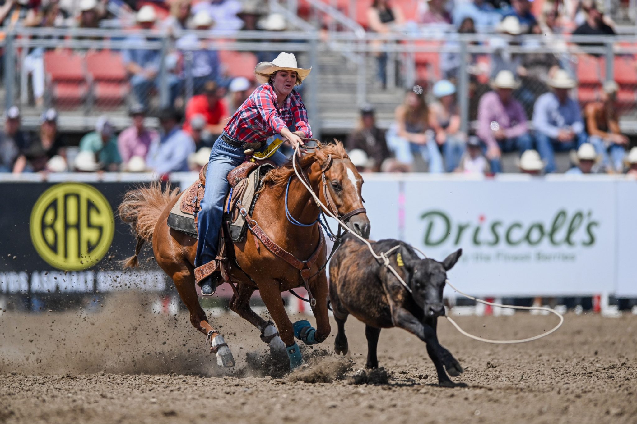 Josey Murphy Wins Salinas, Continues Long Score Mojo